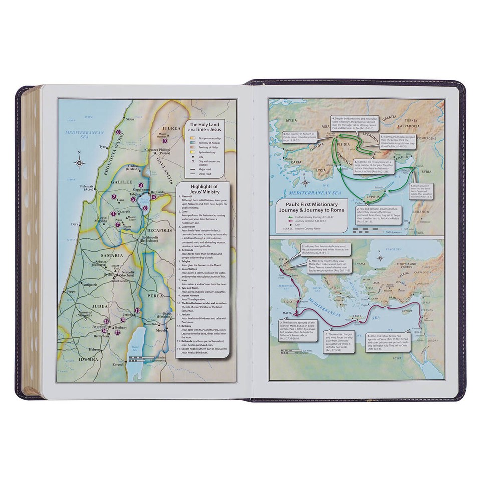 KJV Study Bible, Large Print King James Version Holy Bible, Thumb Tabs ...