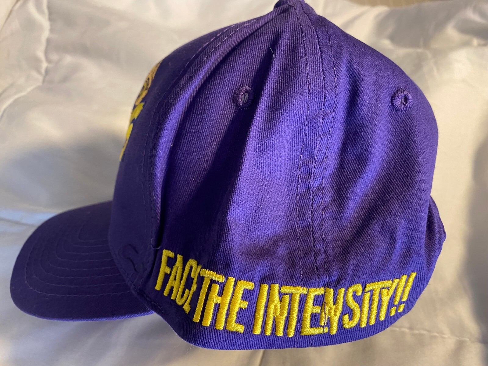 TAKIS LOGO SNAPBACK HAT CAP Purple "Face The Intensity" Adjustable ...