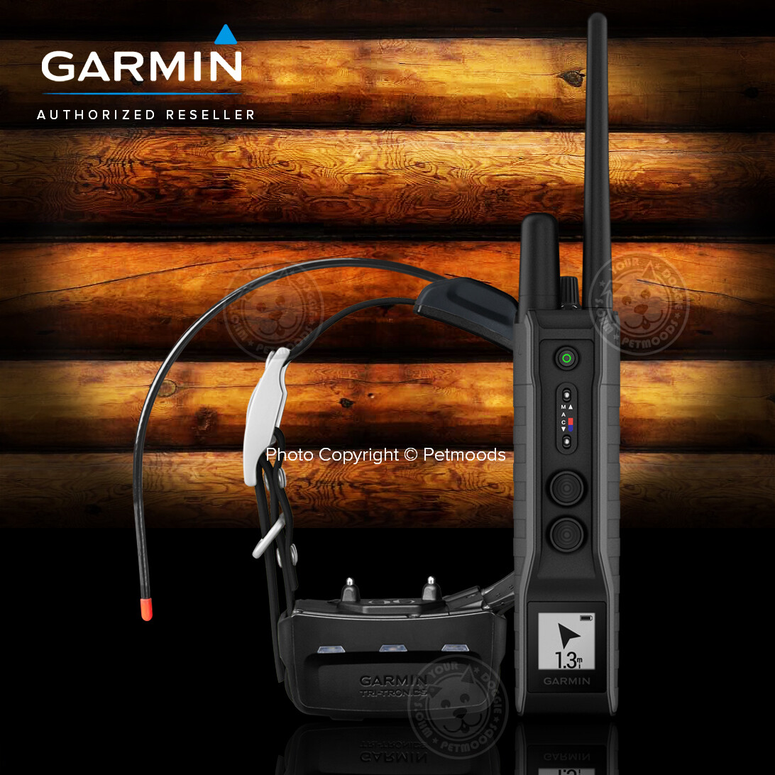 Garmin Pro 550 Plus Bundle Dog Tracking and Training TT15X Collar ...
