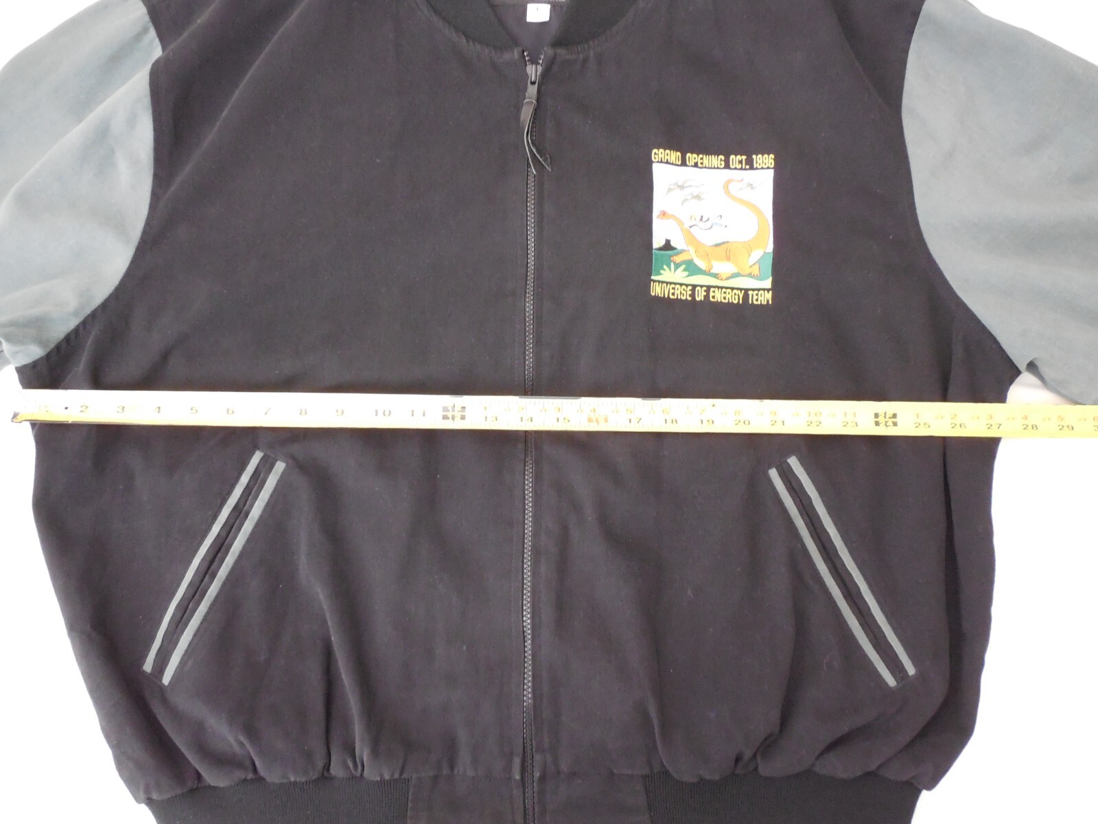 Epcot Ellen's Universe of Energy Cast Member Project Team Jacket Disney ...