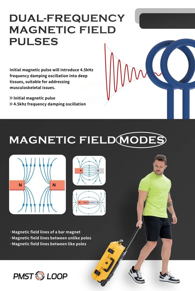 Pemf Physio Magnetic Therapy Pmst Loop Pemf Health Care Device With ...