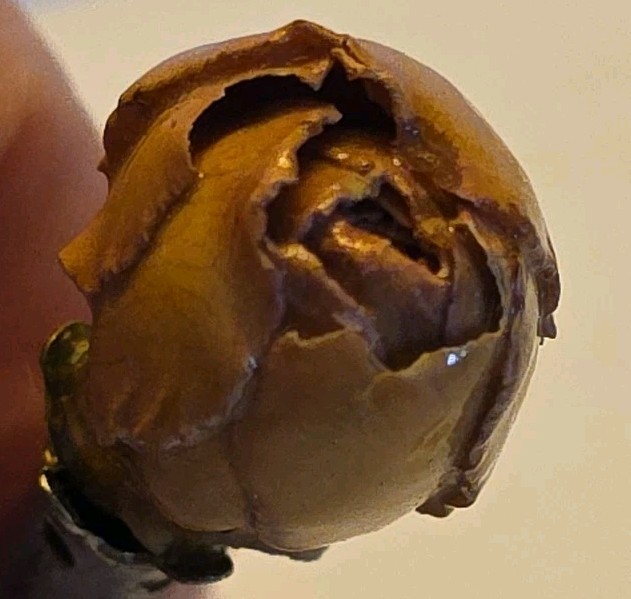 Antique Victorian Era Broch Tussie Mussie Lacquered Rosebud Attached ...