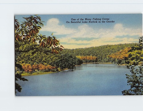 Postcard Norfork Lake Ozarks of Arkansas-Missouri USA | eBay