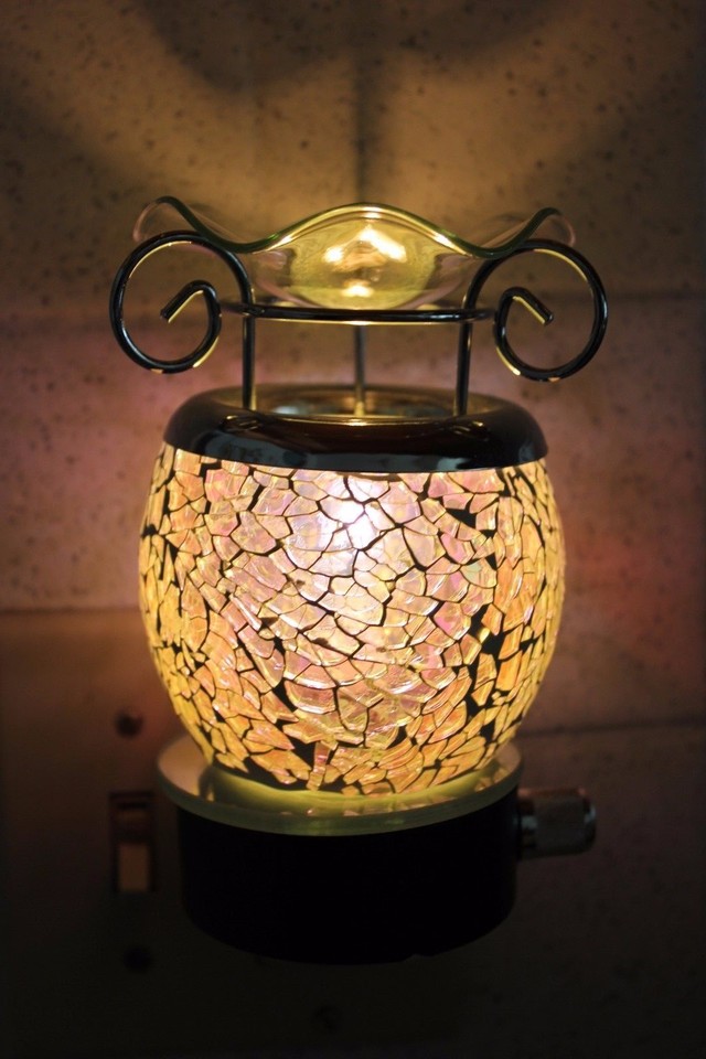 Aromatherapy Night Light, Electric Oil Warmer w/ Dimmer, Wall plug ...