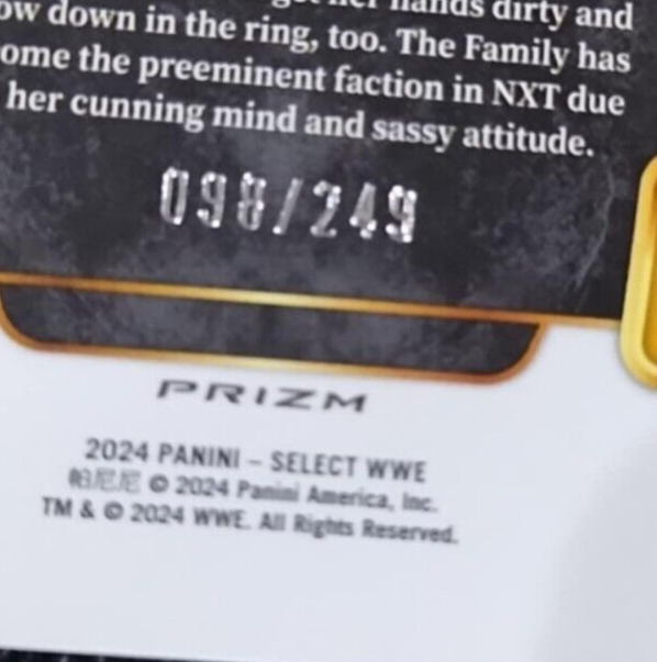 2024 WWE Panini Select Adriana Rizzo Blue 098/249 Prizm + Base Rookie ...