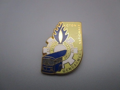 pin's police / CTGN Centre Technique de la Gendarmerie Nationale | eBay