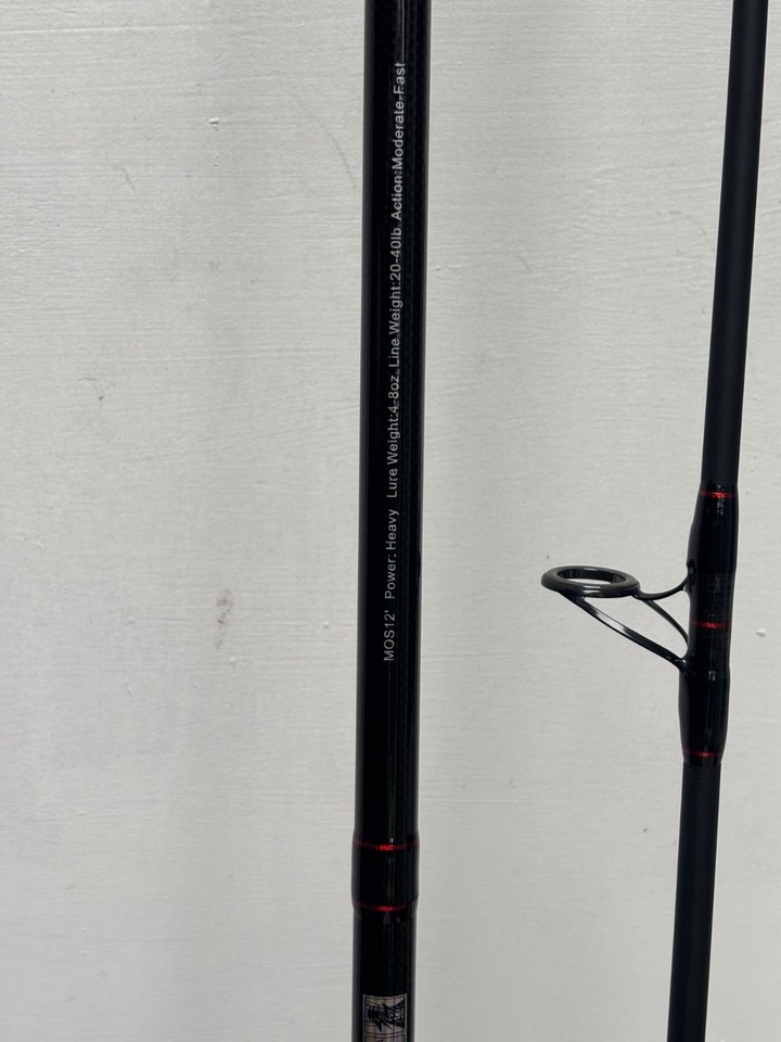 Fiblink Surf Spinning Fishing Rod 2-Piece Graphite 12' Black | eBay