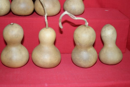 GOURDS- 15 MEDIUM MINI CHINESE BOTTLE GOURDS (DRIED AND CLEANED) | eBay