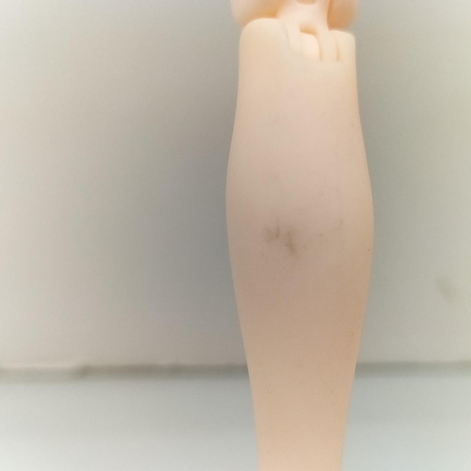 Amiami x Cochlear Shell SNAIL SNAIL SHELL Modernia: First Affection ...