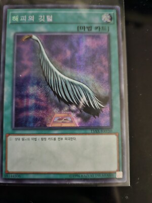 harpie s feather duster Korean | eBay