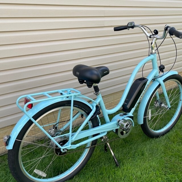 Electra Townie Go! 5i Step Thru Pedal Assist Ebike | eBay