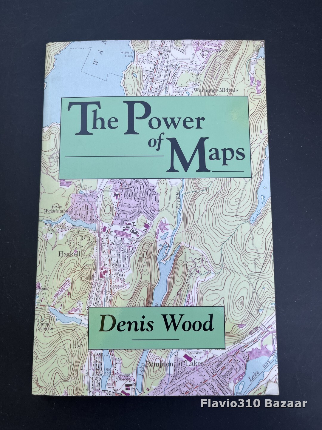 Mappings: Society/Theory/Space Ser.: Power of Maps by Denis Wood (1992 ...