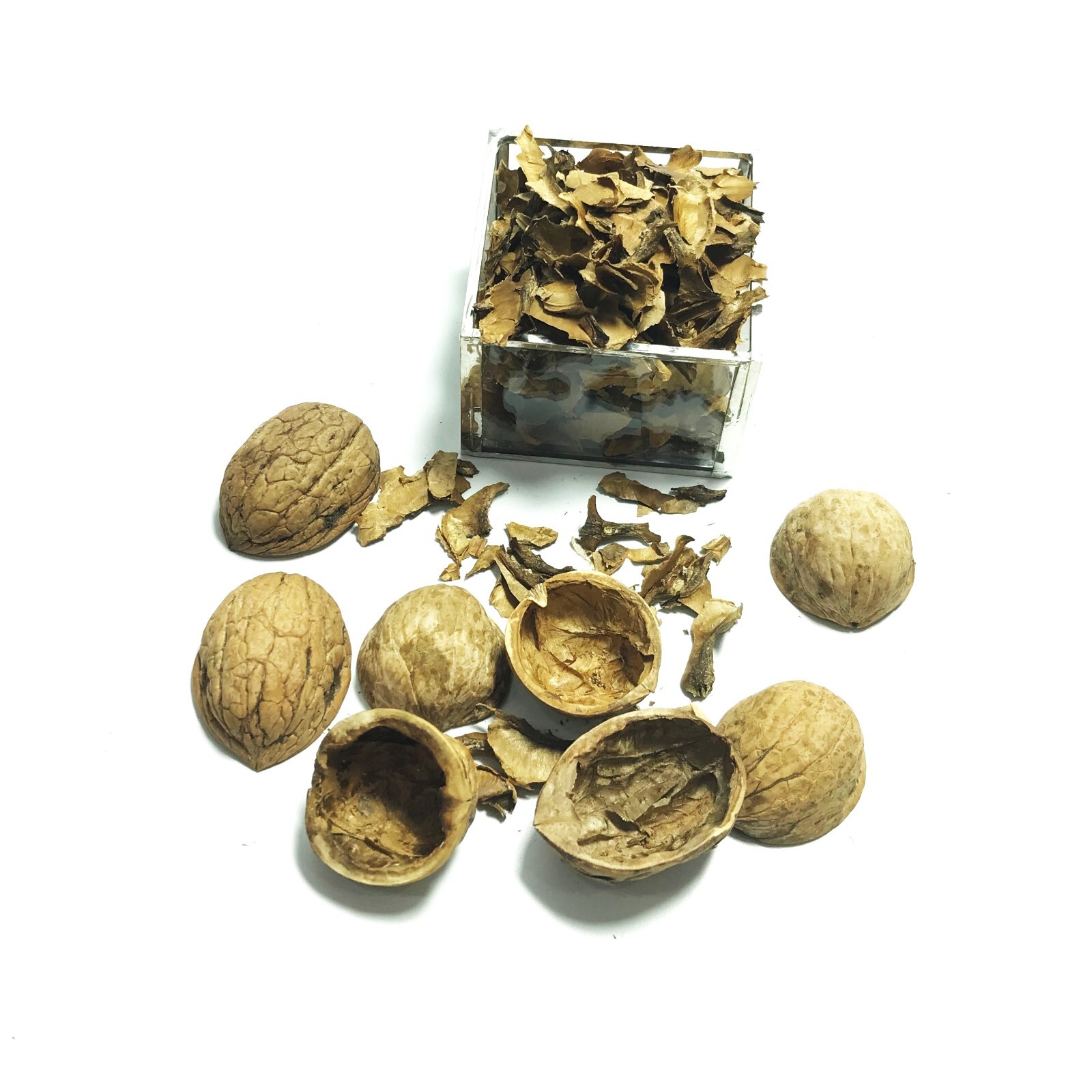 Organic dried Walnut Partitions Natural Decoration Crafting Organic ...