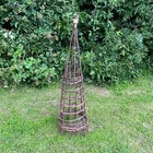 Garden Obelisk Obelisks Willow Wicker Wooden Wood Climbing Plant ...