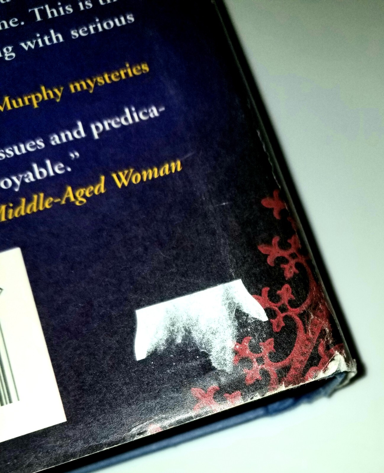 How to Seduce a Ghost by Hope McIntyre 9780892960132 | eBay