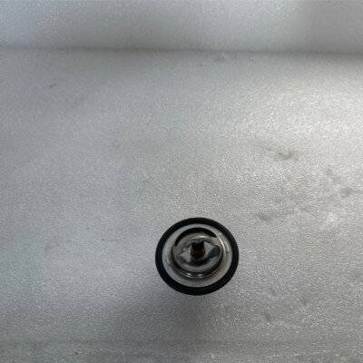 Engine Coolant Thermostat for 2002-2018 Nissan Altima Rogue Cube 21230 ...