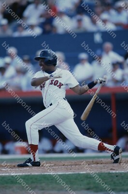 Dana Williams Boston Red Sox Baseball Original Jack Wallin 35mm Photo ...