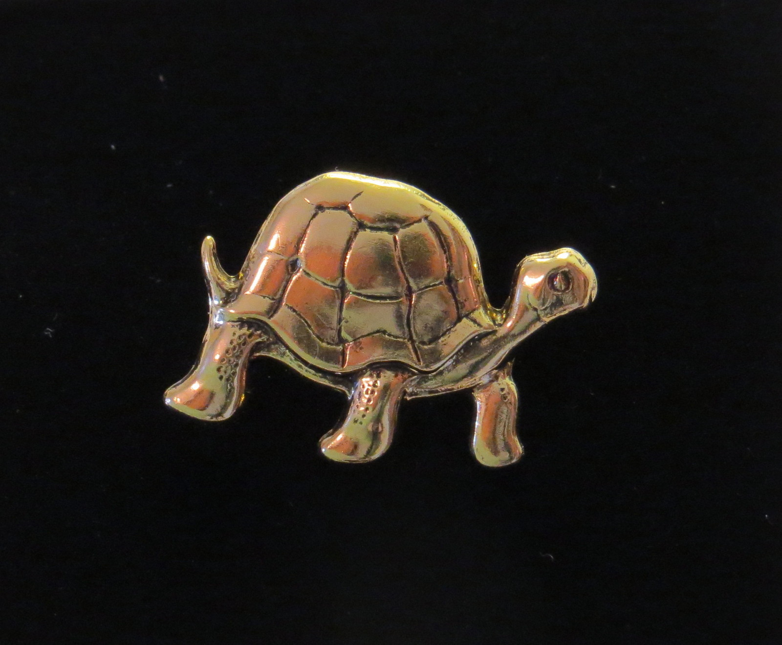 Turtle Tack Pin Tortoise Snapper Loggerhead Reptile Leatherback ...