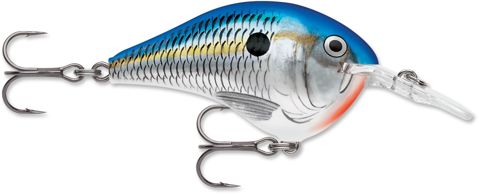Rapala Dives to 6 Dt6 Mardi Gras for sale online | eBay