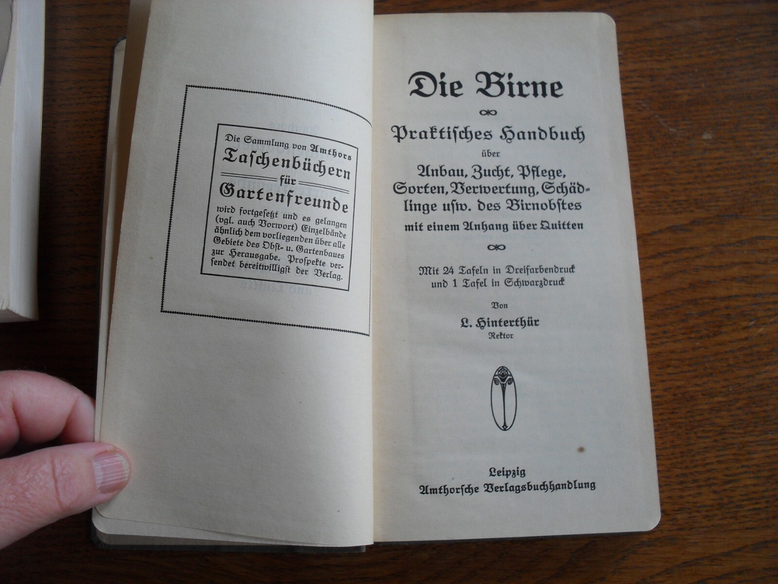 Die Birne und Quitte, Hinterthür, Praktische Handbuch, Amthorsche ...