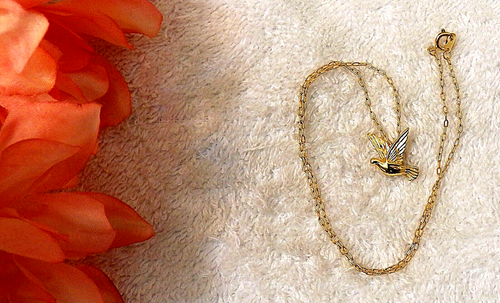 CLASSIC NECKLACE BIRD ROBIN DOVE BLUE JAY ORIOLE HEN FEATHERS BEAK ...