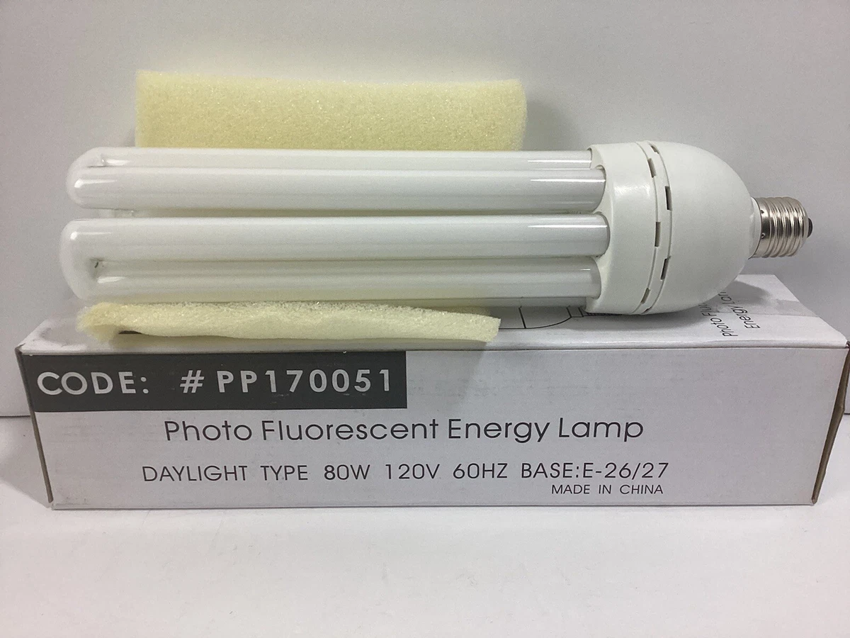 Fluorescent Photography