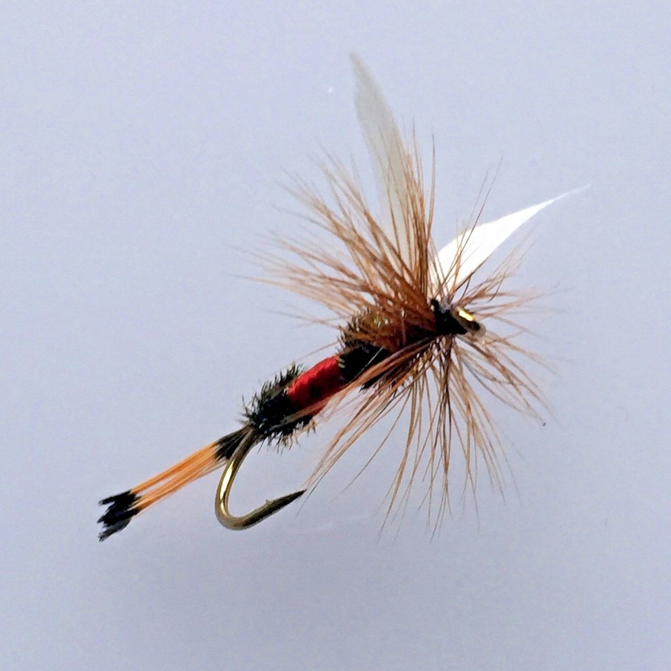 Fly Fishing Flies Selection 12X Dry FLY ROYAL COACHMAN for trout #198 ...