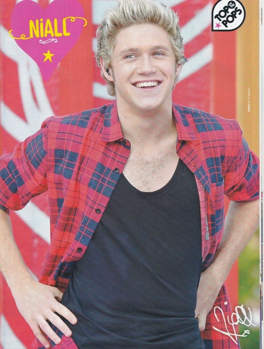 One Direction, Voce E Eu Fotografamos Niall AMAMOS UMA AMIZADE