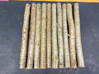10 x 30cm , 20mm ThickNatural Hazel Branches Stick blanks wands Drum ...