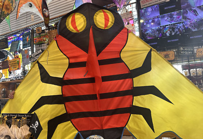 Kite Collection- 7' Unique one of a kind Bug Kite Delta | eBay
