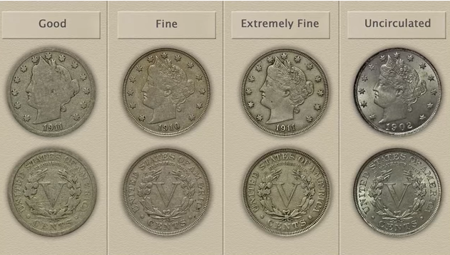 12 Different Liberty Head Nickels Starter Collection #MY26 | eBay