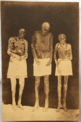 Original Postcard of Humans skulls Death Skeletts ! Rare Postcard 1920s ...