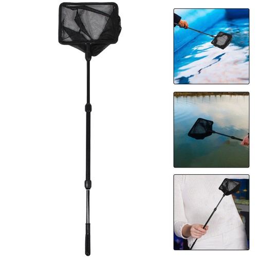 Telescopic Pond Dipping Net with Pole Fish Fishing Child | eBay