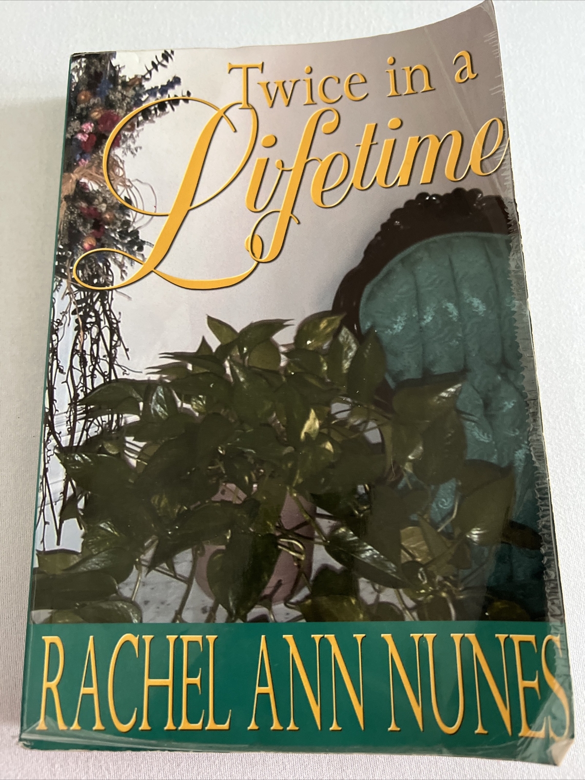 Twice in a Lifetime by Nunes By: Rachel Ann Nunes 2002 9781555176266| eBay