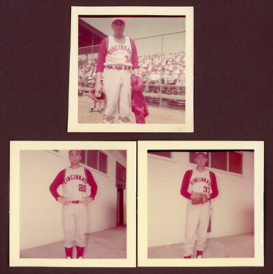 circa 1965 Reds Original Spring Training Snapshot Photo Lot, James ...