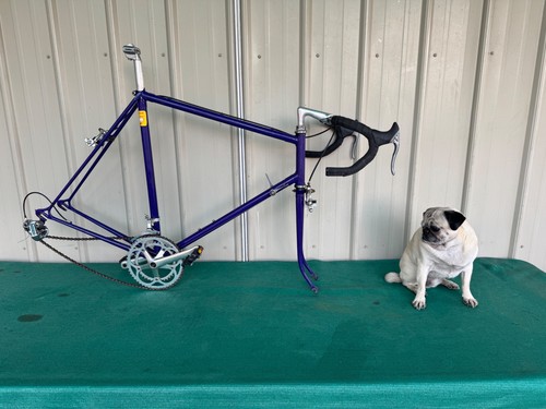 Vintage Road Bike 60cm Frame Steel Campagnolo Cinelli Shimano Dura Ace ...