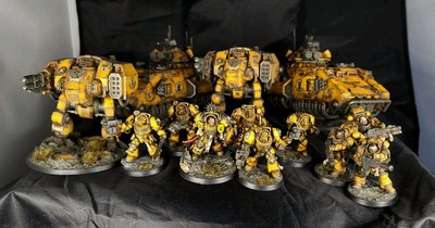 Pro Painted 40k Imperial Fists Primaris Army | eBay UK