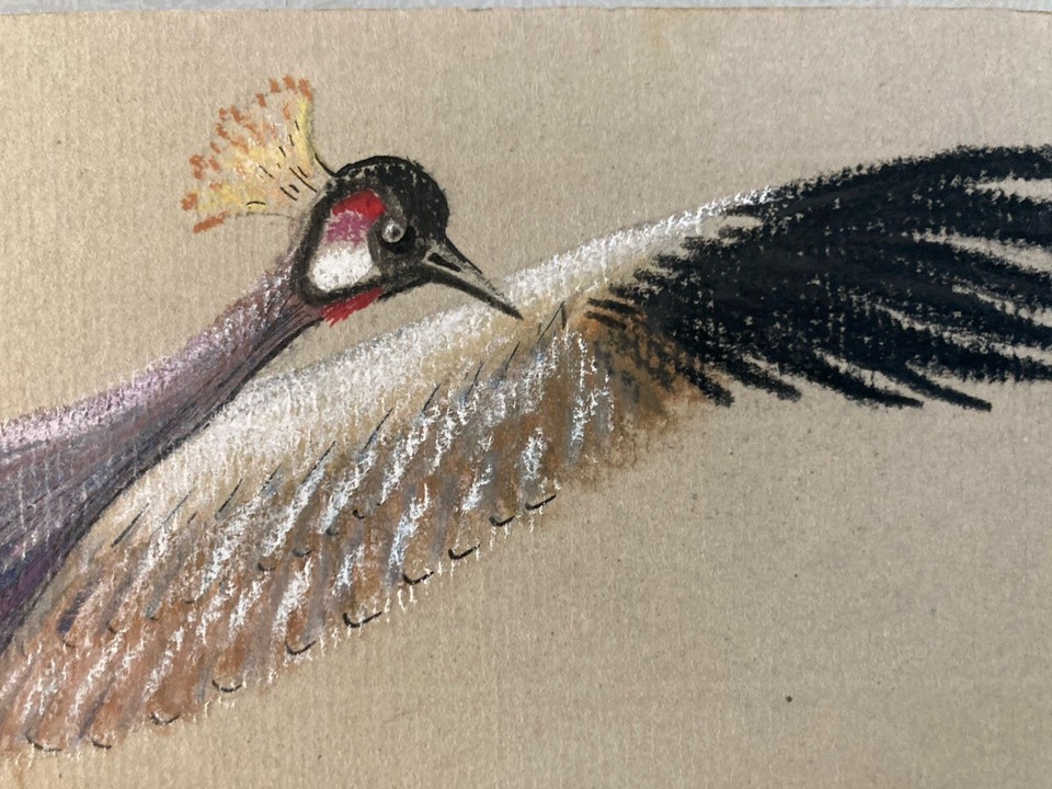 Beautiful Drawing 1980 Bird Pencil Charcoal Crane Animal to Identify ...