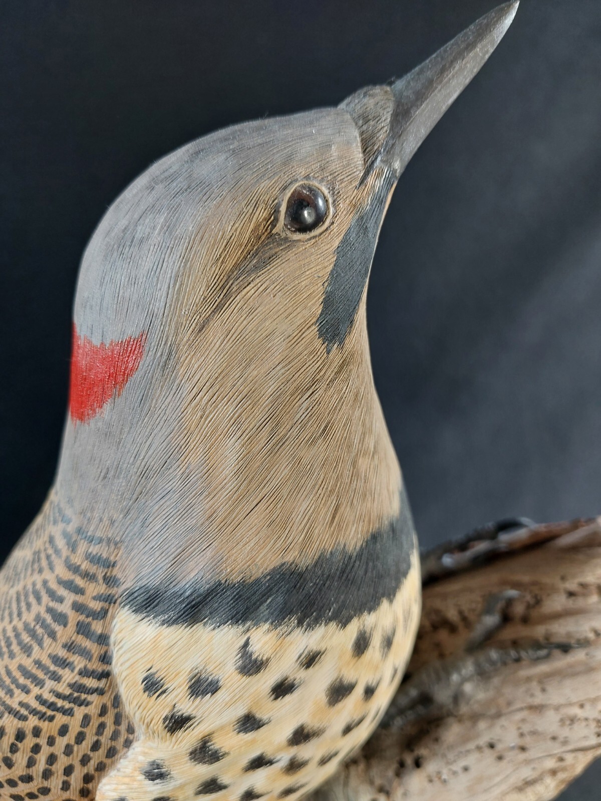 Hand Carved Wooden Northern Flicker Bird Basswood Driftwood Artist Tom ...
