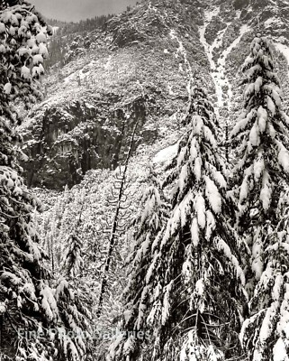 1948/80 Vintage ANSEL ADAMS Landscape Yosemite Forest Snow Trees ...