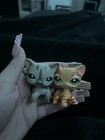 Littlest Pet Shop Yellow Striped Short Hair Tiger Cat #1451 Authentic ...