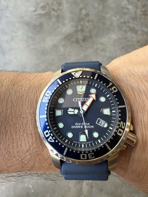 Citizen Eco Drive ProMaster 200m Dive Diver Watch Solar Ocean | eBay