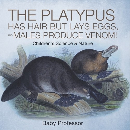 Baby Professor The Platypus Has Hair but Lays Eggs, and (Paperback) (US ...