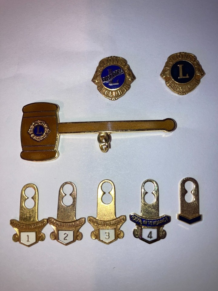 Lions Club Past President Lapel Pin / Gavel / Perfect Attendance NICE ...
