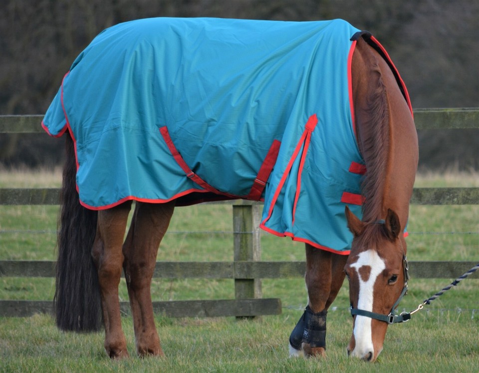Turner Equestrian Lightweight Waterproof Turnout Rugs 100g Fill 600d ...