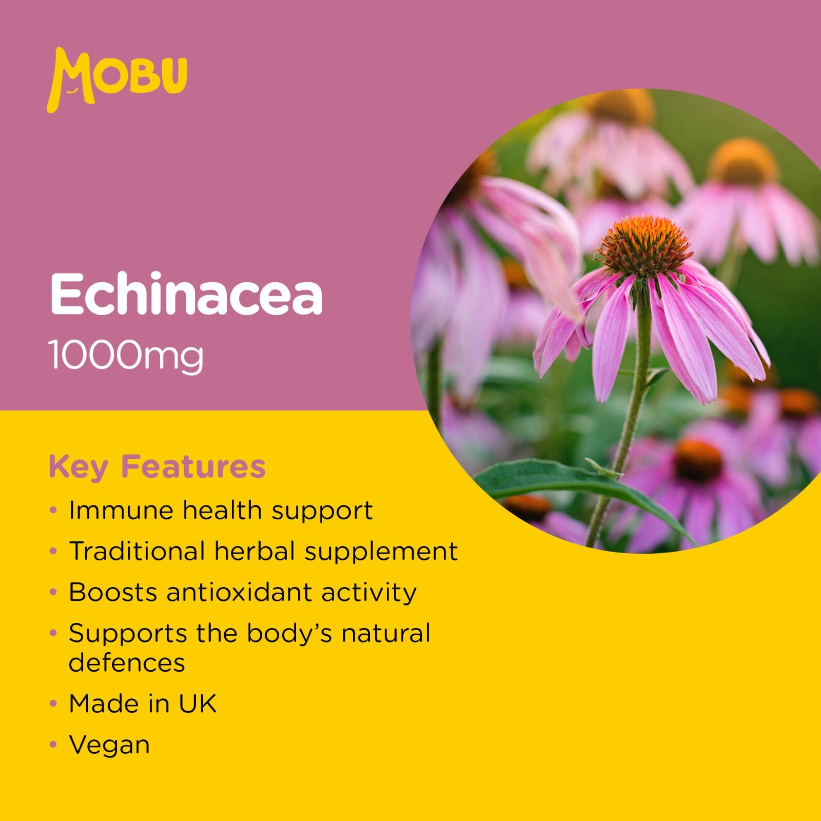 Echinacea 1000mg Tablets | Echinacea Purpurea Extract Cold & Flu Immune ...