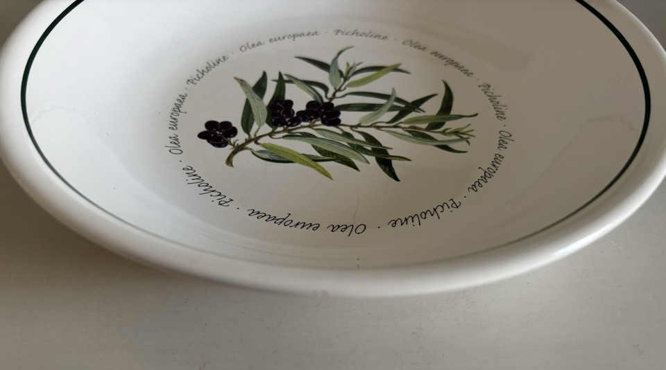 Williams Sonoma Olea Europaea Pasta Bowl Olives Picholine Replacement ...