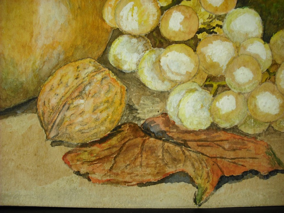 Original Drawing Of Nuts, Maple Leaf & Fruits XIX Signature Still Alive ...