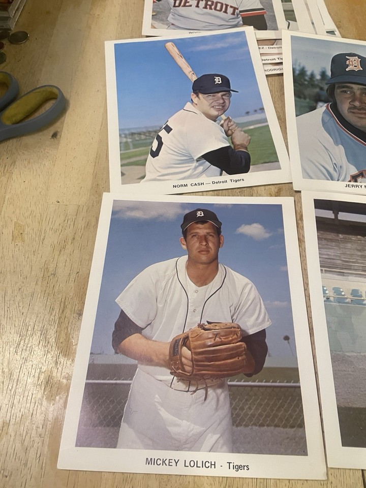 Lot of 12 Detroit Tigers Baseball Players Photos 7"x9" Mickey Lolich ...