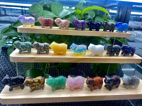 10pc Natural mix Quartz Crystal pig skull Carving Reiki healing | eBay